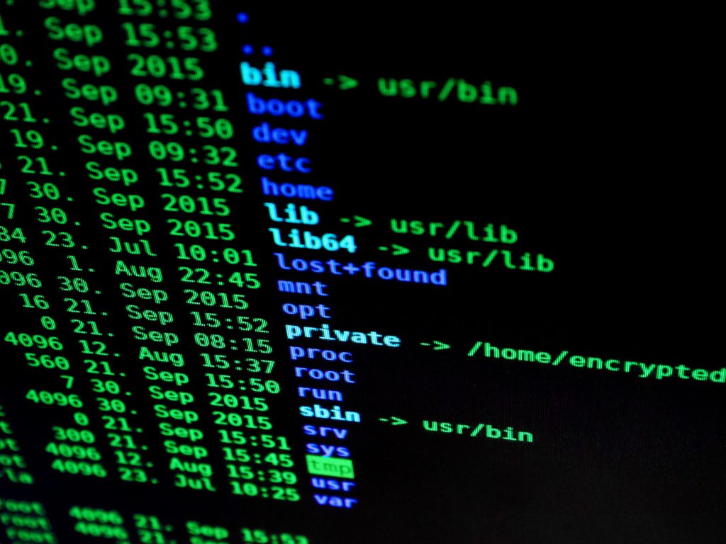How To Create A Shared Folder On Linux In Few Step Spaceclick
